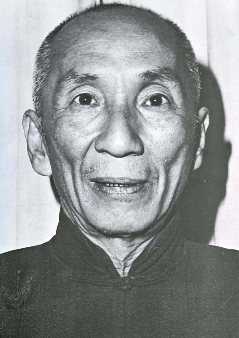 Gran Maestro Ip Man la pesadilla de lo clásico – WTKungFu